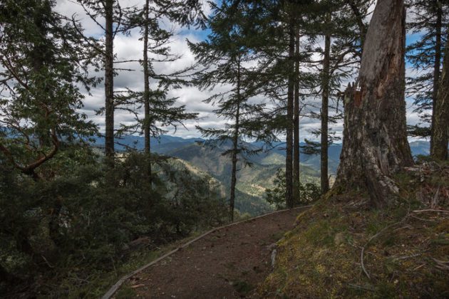 What is a Switchback in Hiking? A Complete Guide | TravelTrained