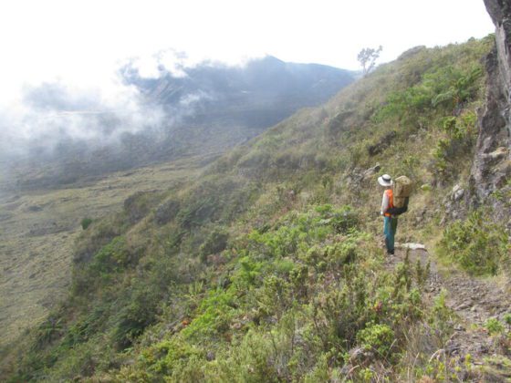What is a Switchback in Hiking? A Complete Guide | TravelTrained