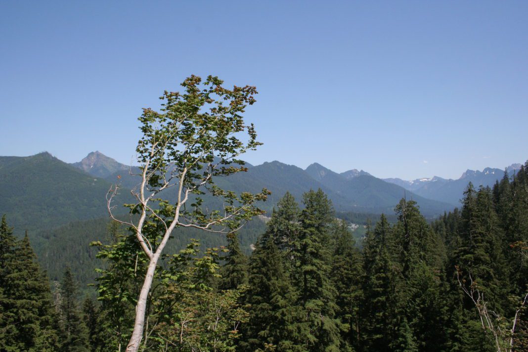 Lake 22 Trail - Incredible Rewarding Hike in Washington | TravelTrained