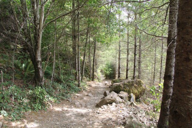 Little Si Hike - A Short But Amazing Trail Near Seattle