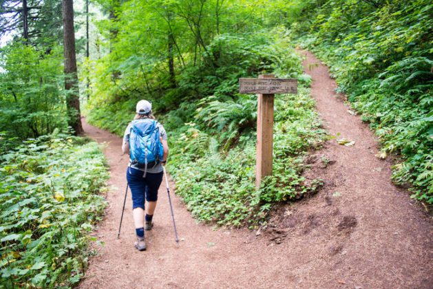 What is a Switchback in Hiking? A Complete Guide | TravelTrained