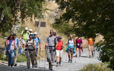What to Wear When Hiking in Hot Weather? (Beat the Heat)