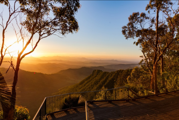 Most Scenic Hikes to Experience Across the Gold Coast | TravelTrained