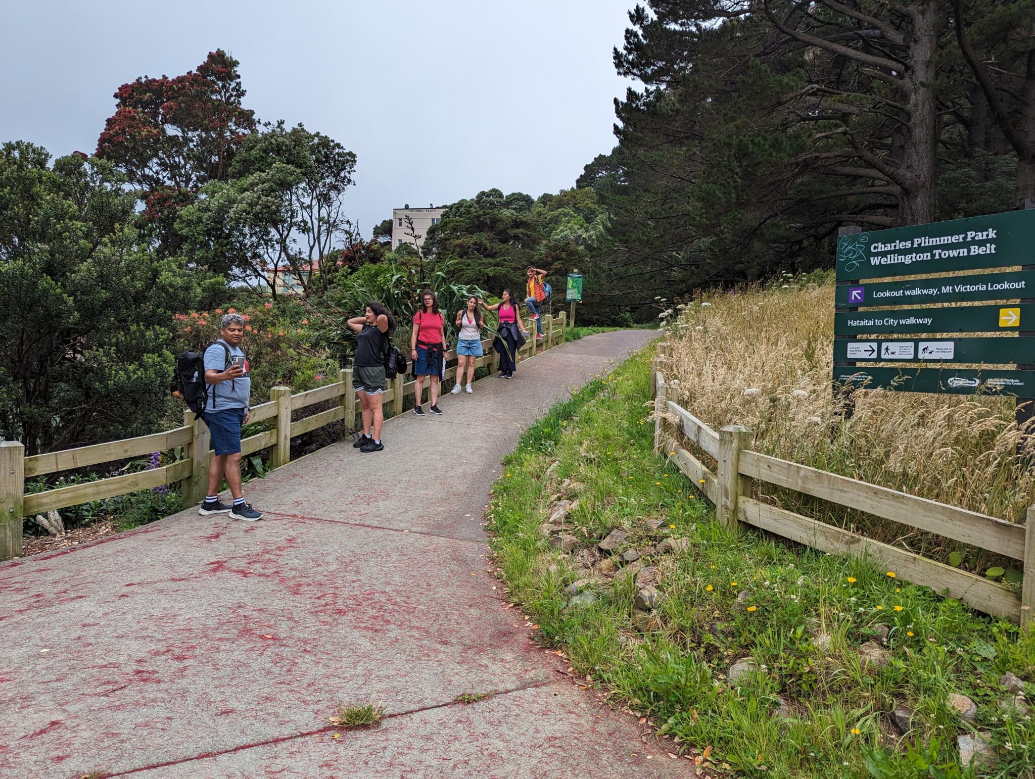 Words that describe Travel - The Language of Wanderlust | TravelTrained